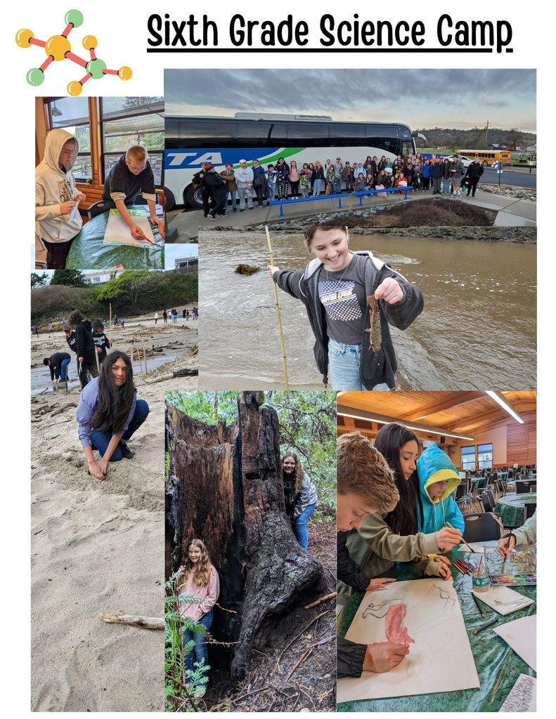 Live Feed | Copperopolis Elementary Schools