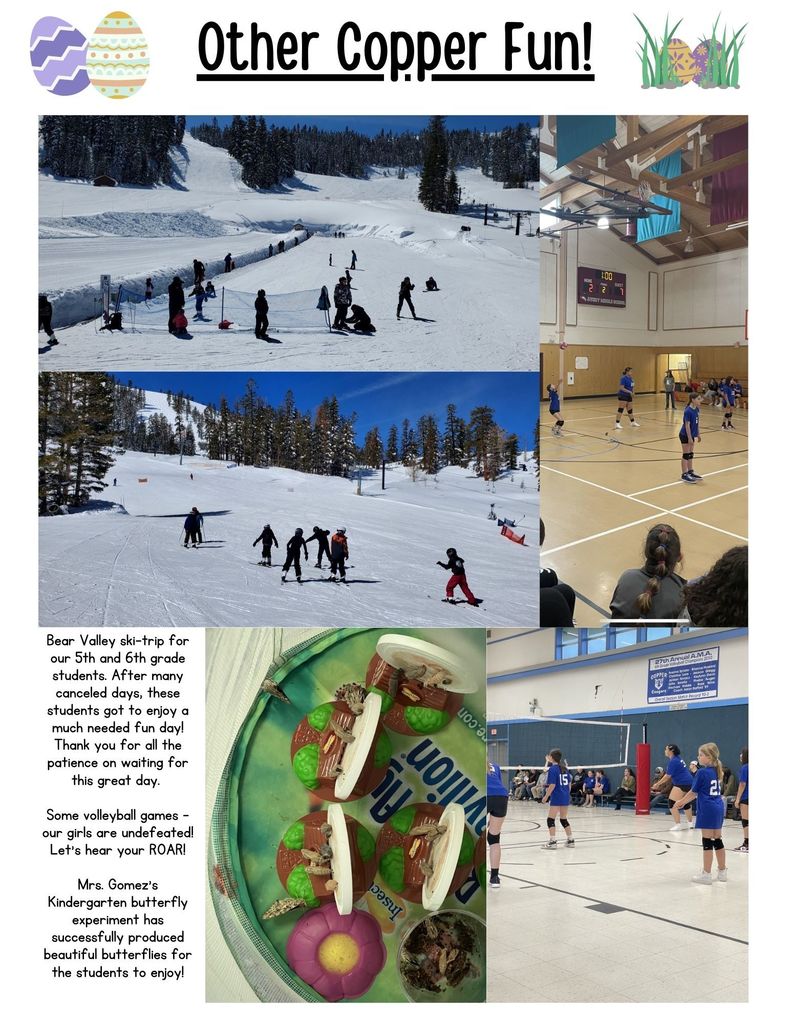 Live Feed | Copperopolis Elementary Schools